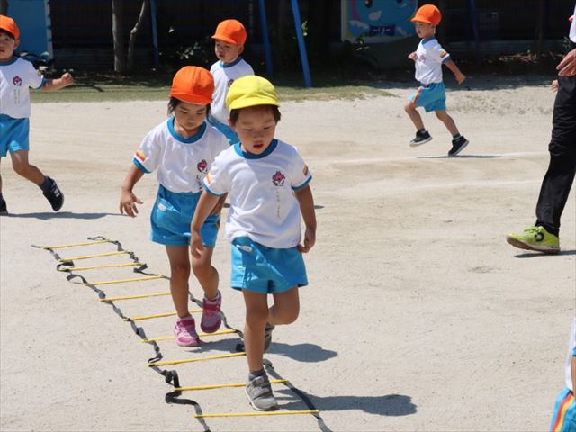 NO_0433_R | 東京都足立区公認幼稚園なら江北さくら幼稚園